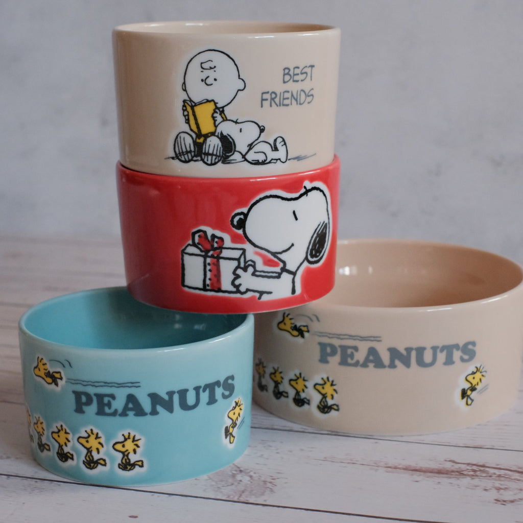 Peanuts Snoopy Japan Festive 4 Piece Ceramic Airtight Storage Containe ...